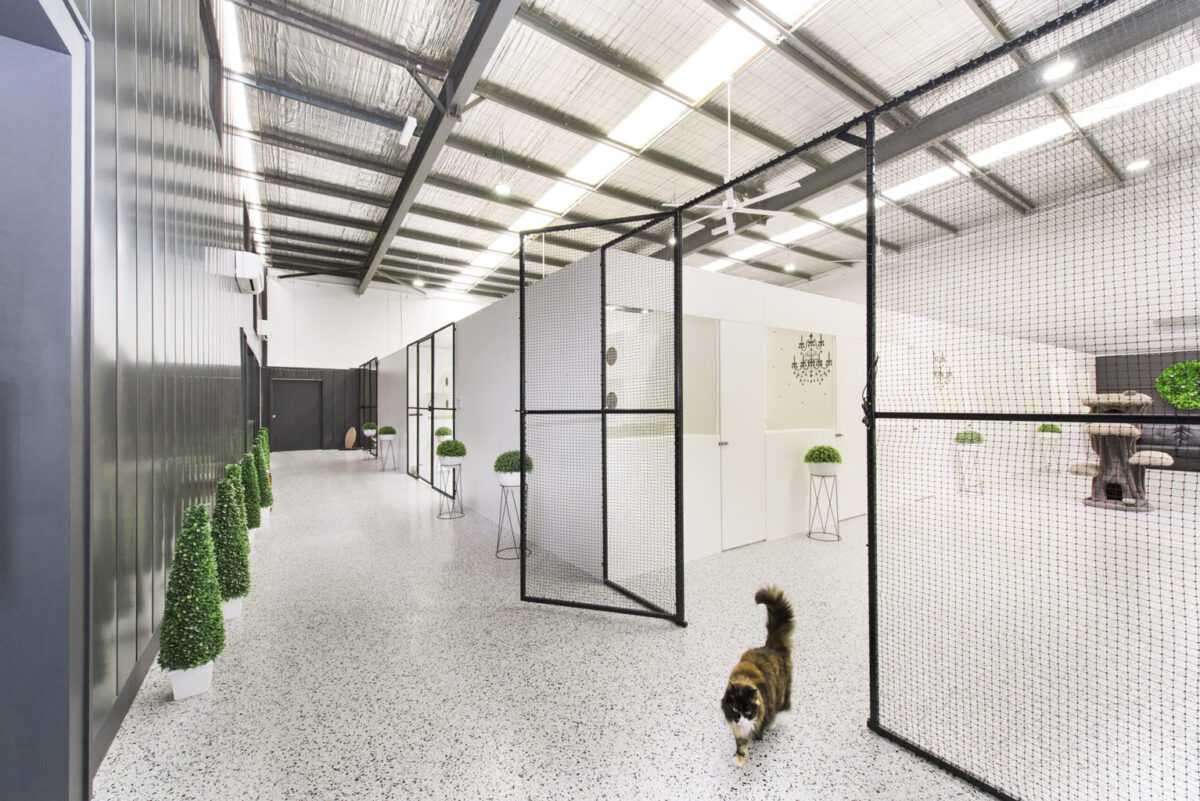 Our Suites - Bayside Cat Resort